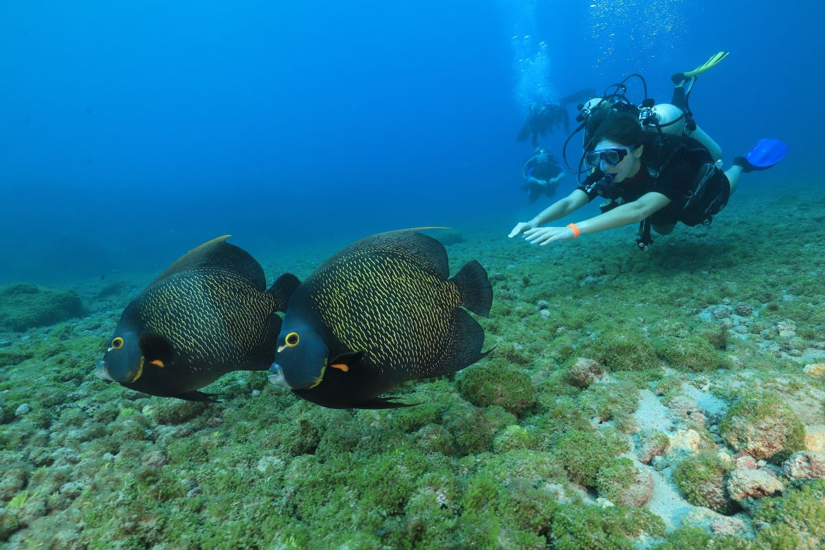 Fernando de Noronha! Guia completo para visitar esse paraíso!