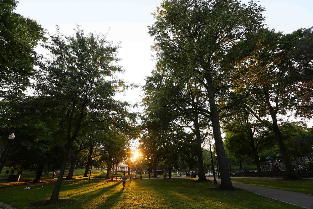 Boston Common