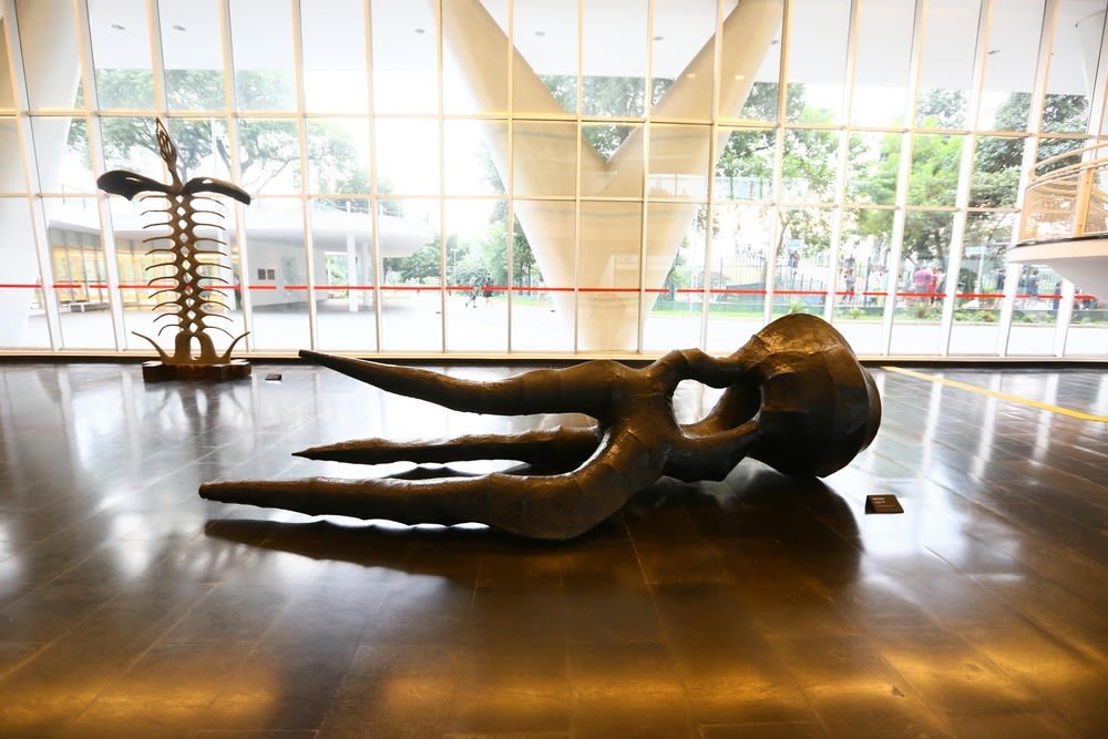 Museu de Arte Contemporânea (MAC-USP)