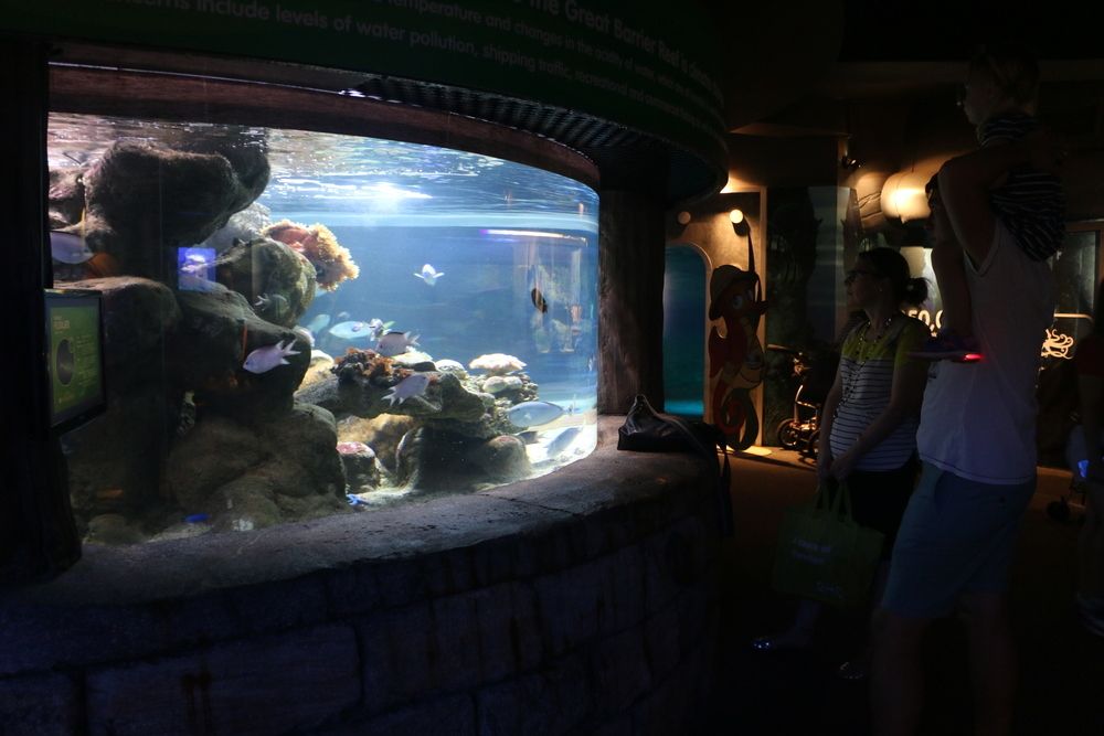 Manly Sea Life Sanctuary