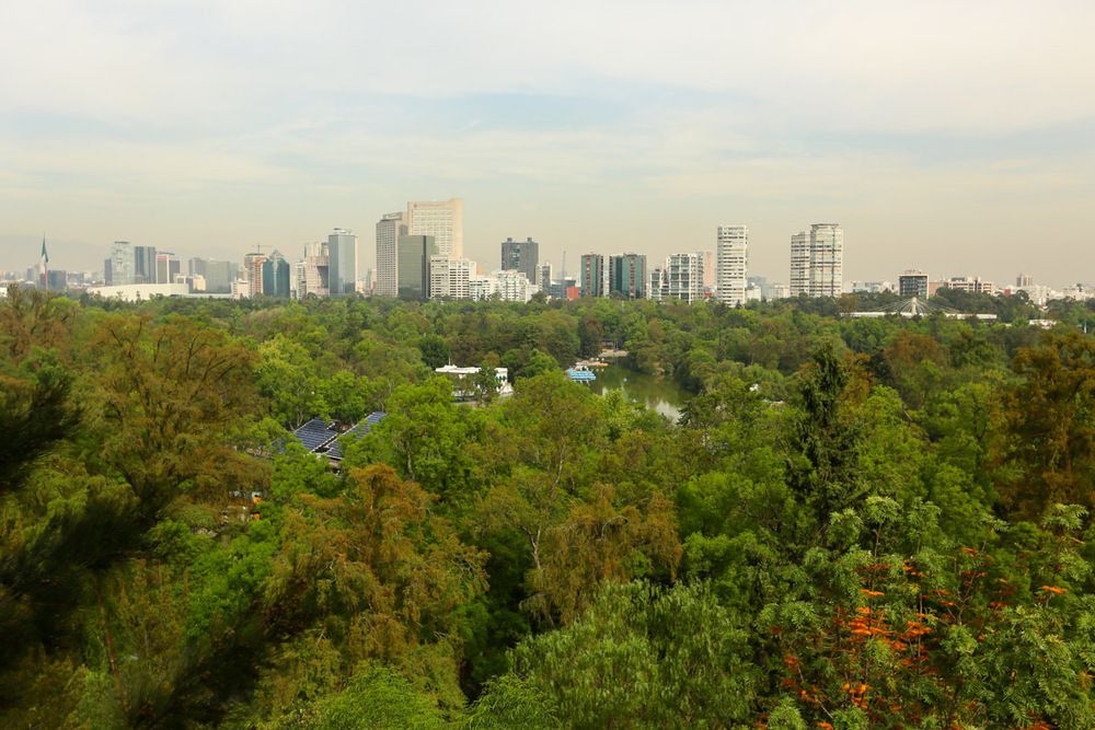 Bosque de Chapultepec