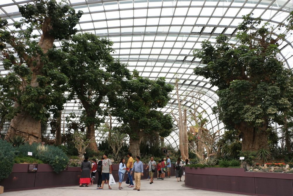 Flower Dome