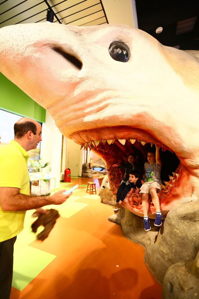 Museum of Discovery and Science