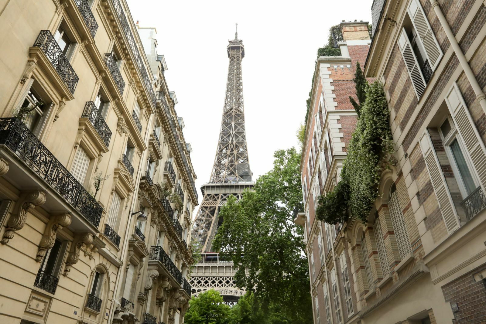 Rue de l’Université - Paris