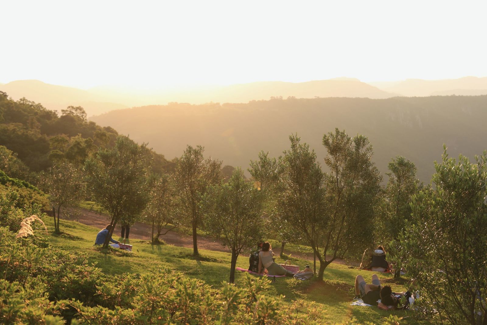 Parque Olivas de Gramado - Gramado