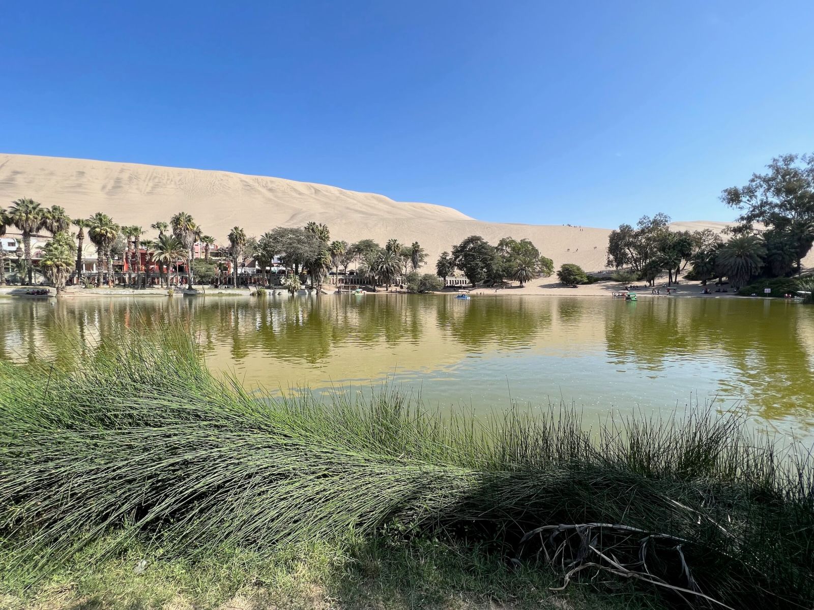 Huacachina - um óasis no deserto e próximo a Lima que você não deve perder!