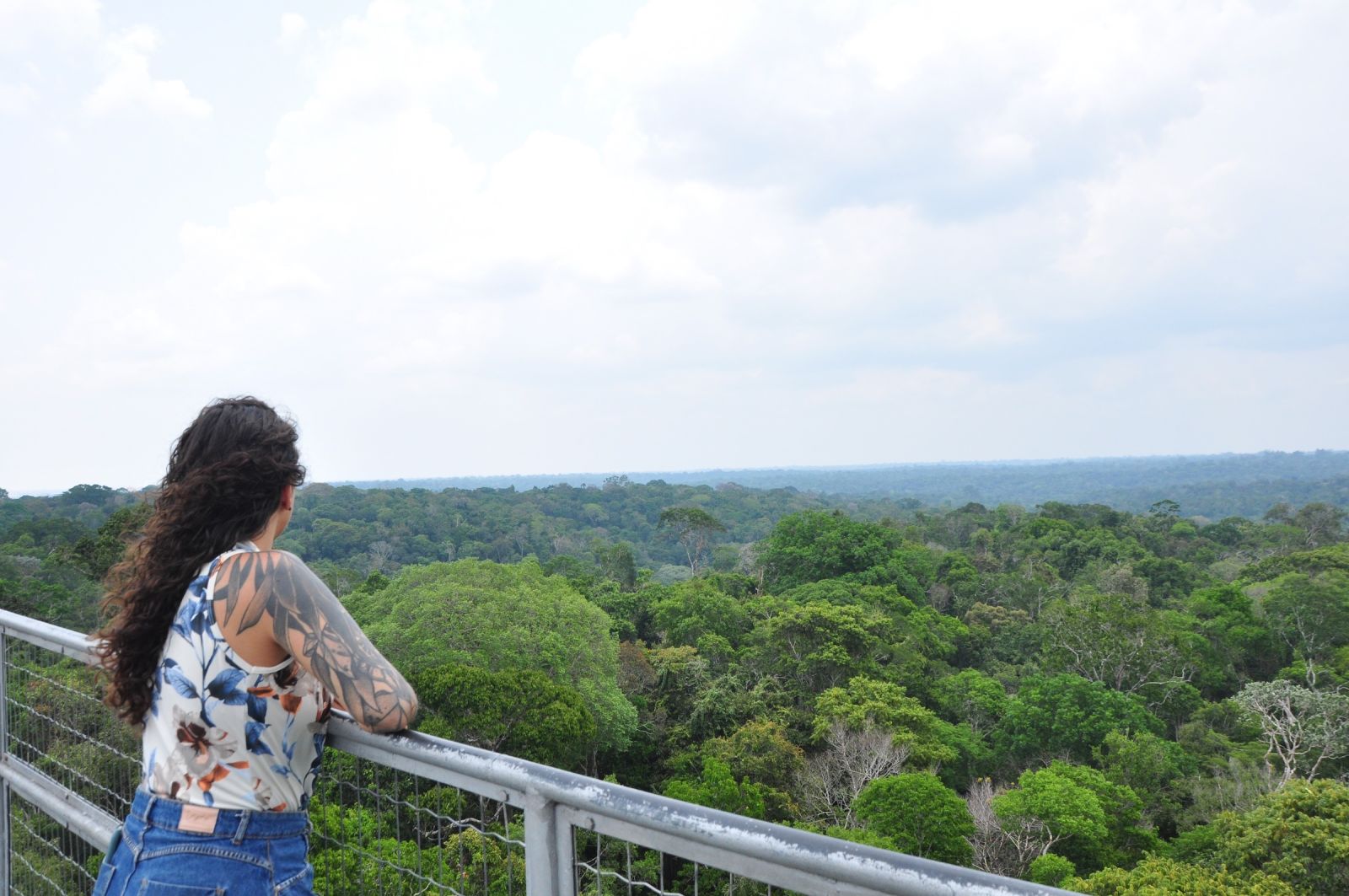 Museu da Amazônia (MUSA)