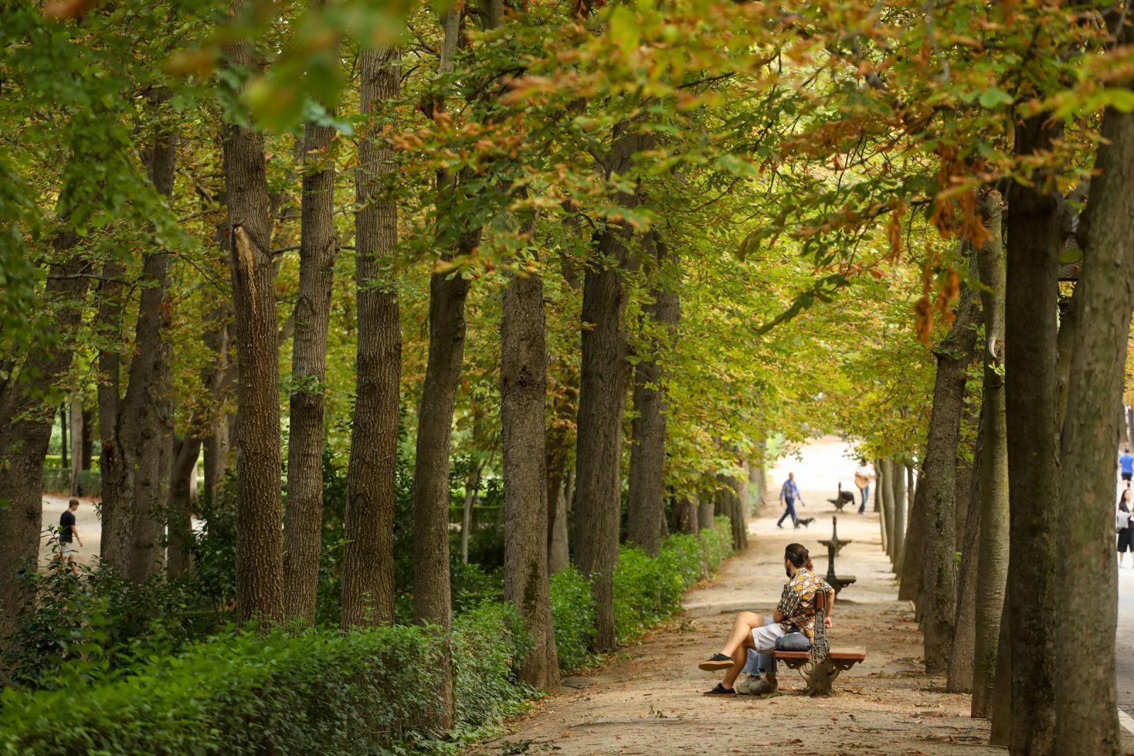 Parque do Retiro – Tudo o que você precisa saber!