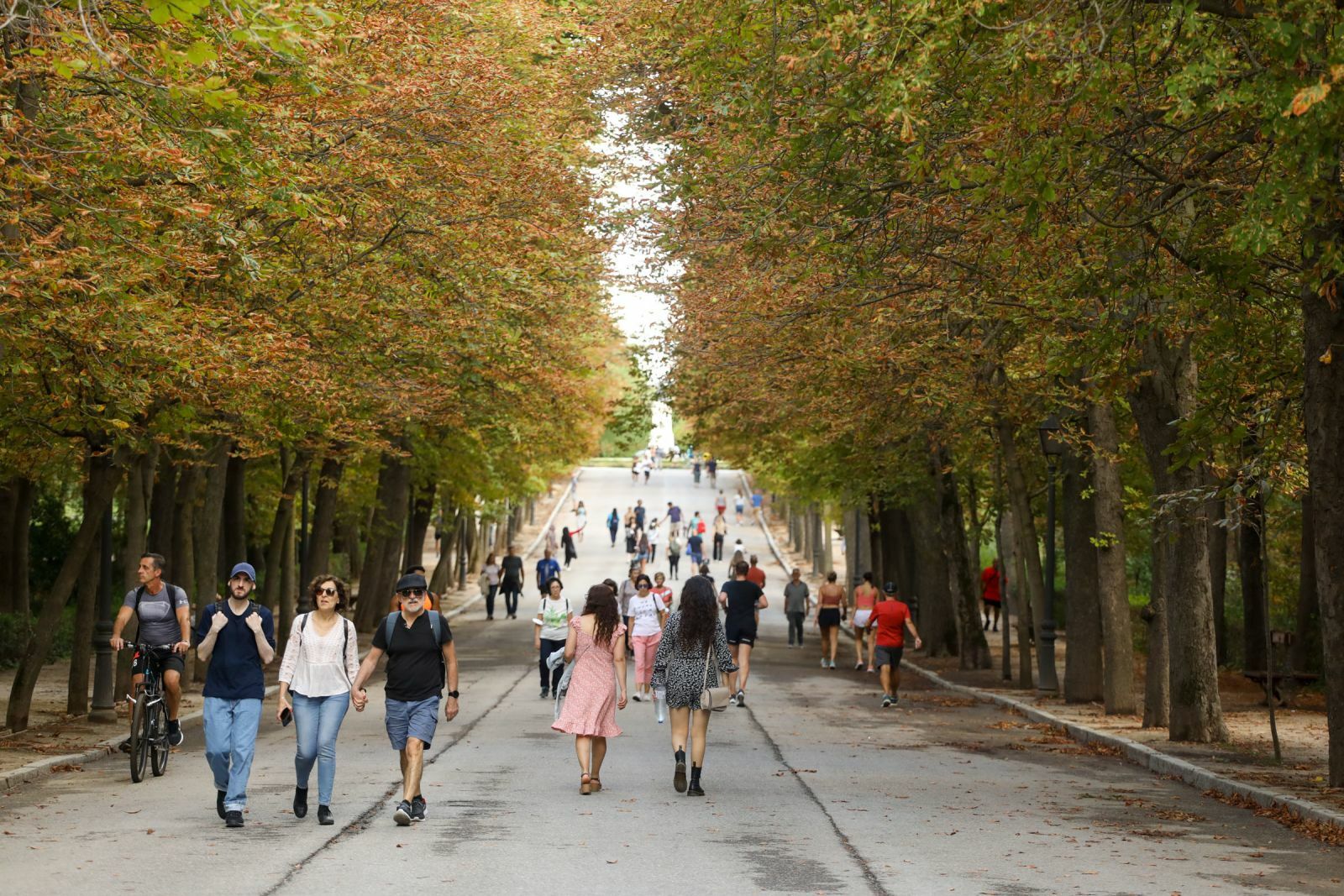 Parque do Retiro – Tudo o que você precisa saber!