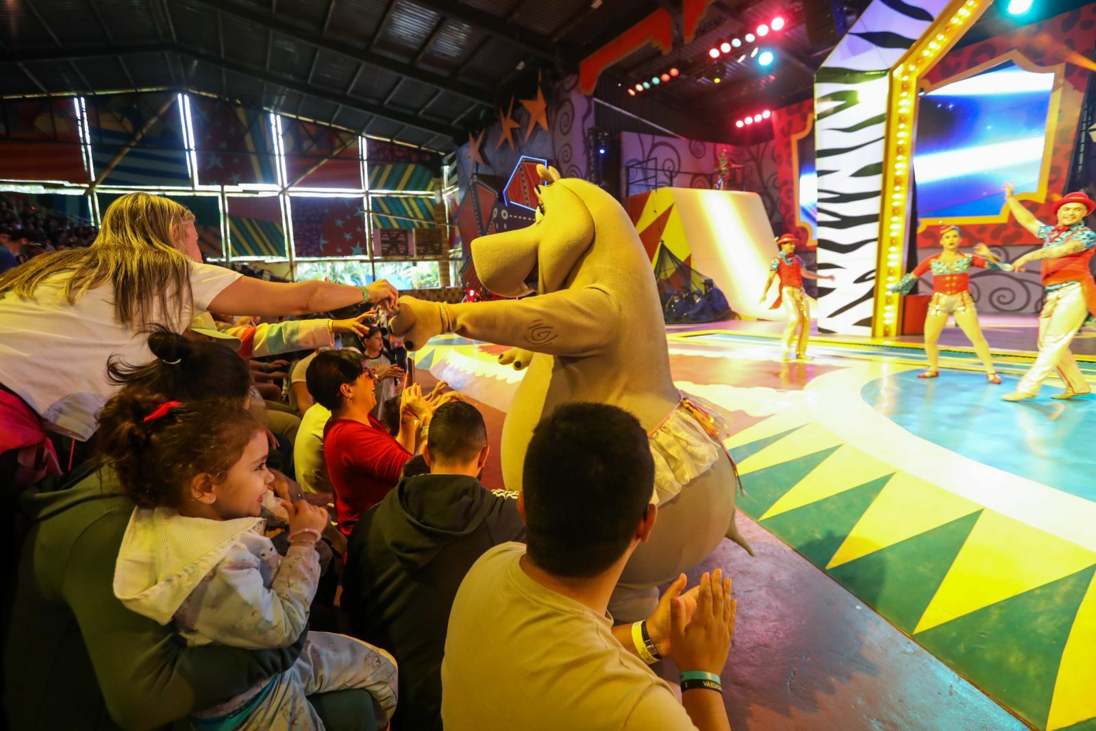 Madagascar Circus Show - Beto Carrero World