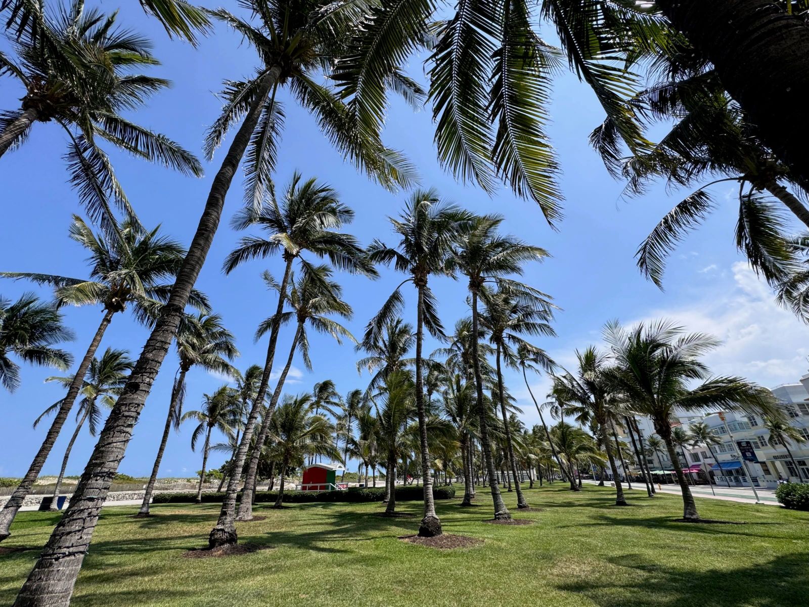 Miami - guia completo para planejar sua viagem!