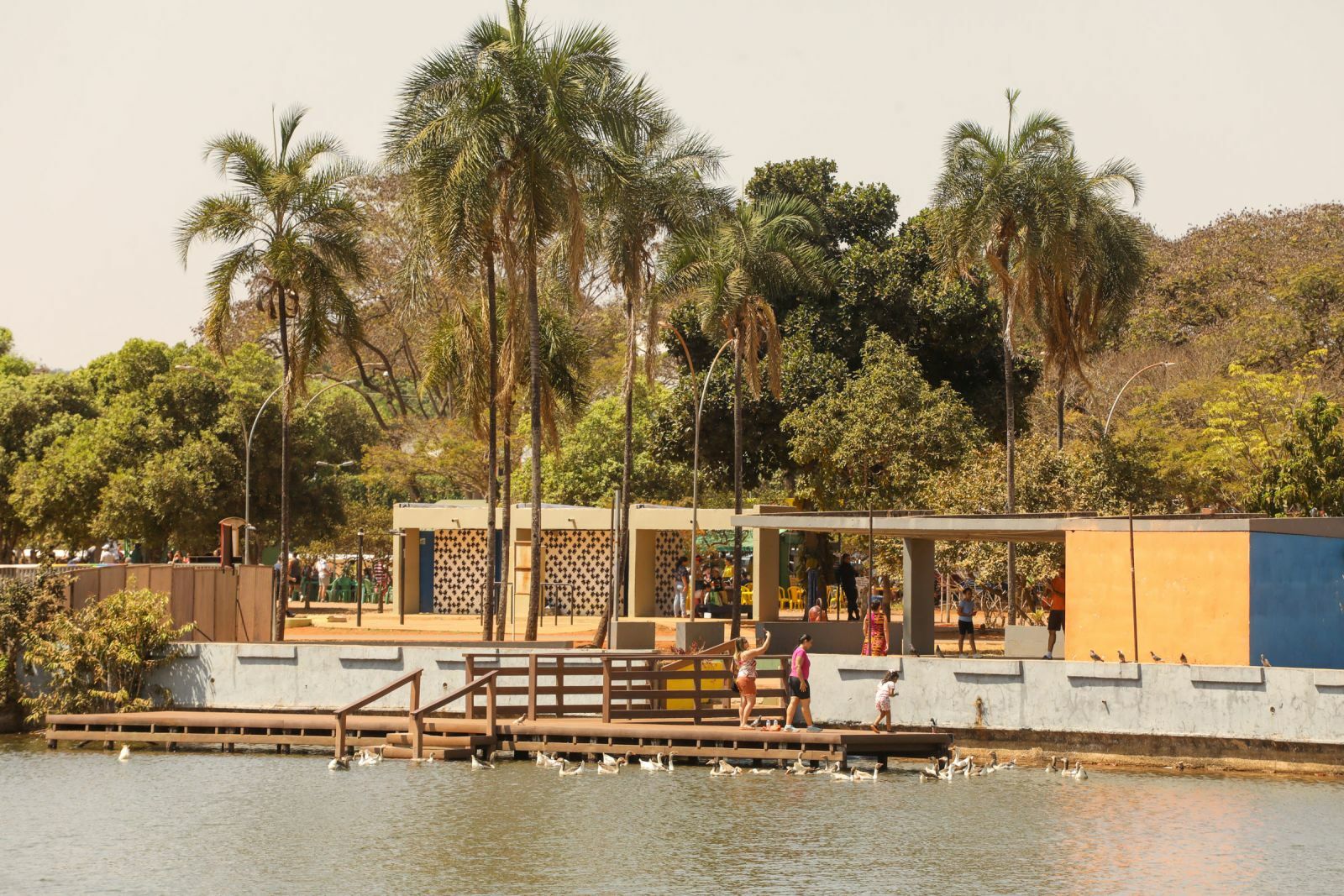 Parque da Cidade em Brasília – Tudo o que você precisa saber