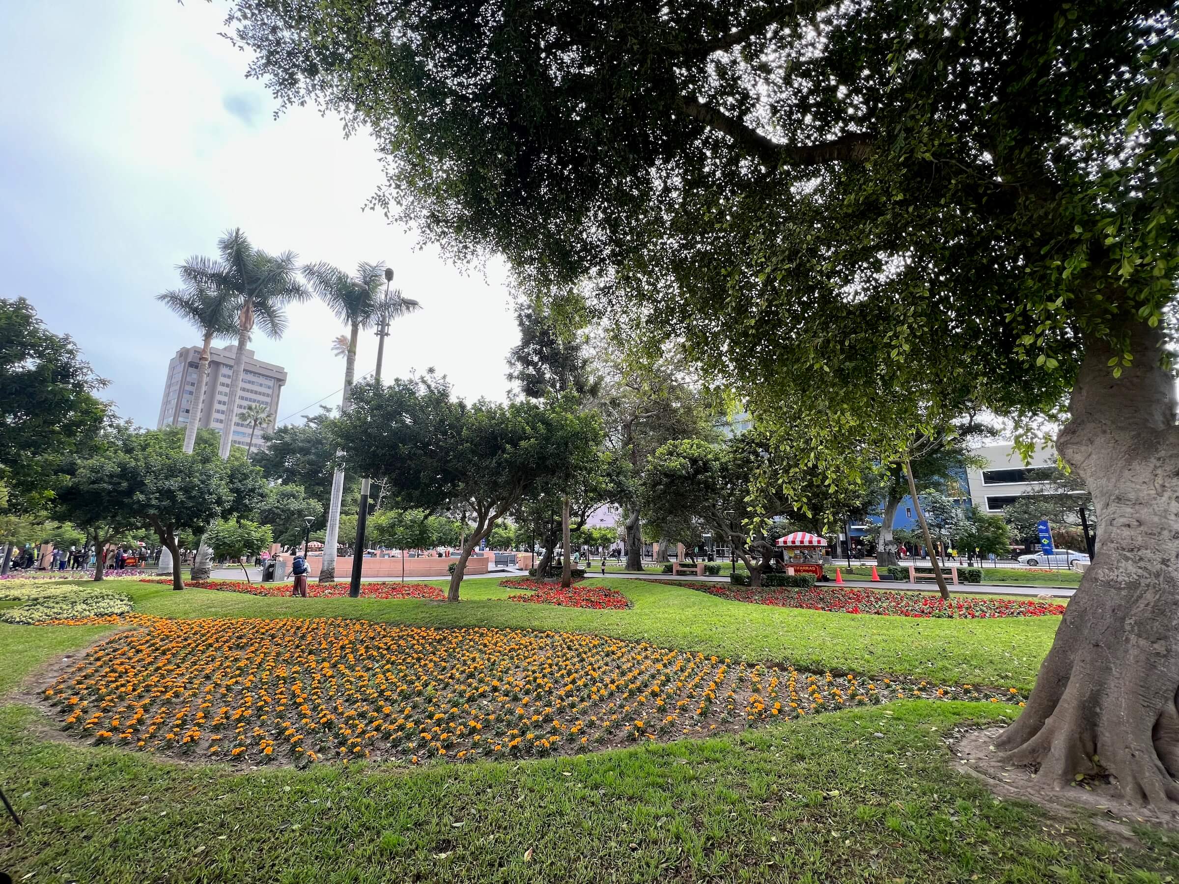 Parque Kennedy - nossas dicas para visitar o parque de Lima!