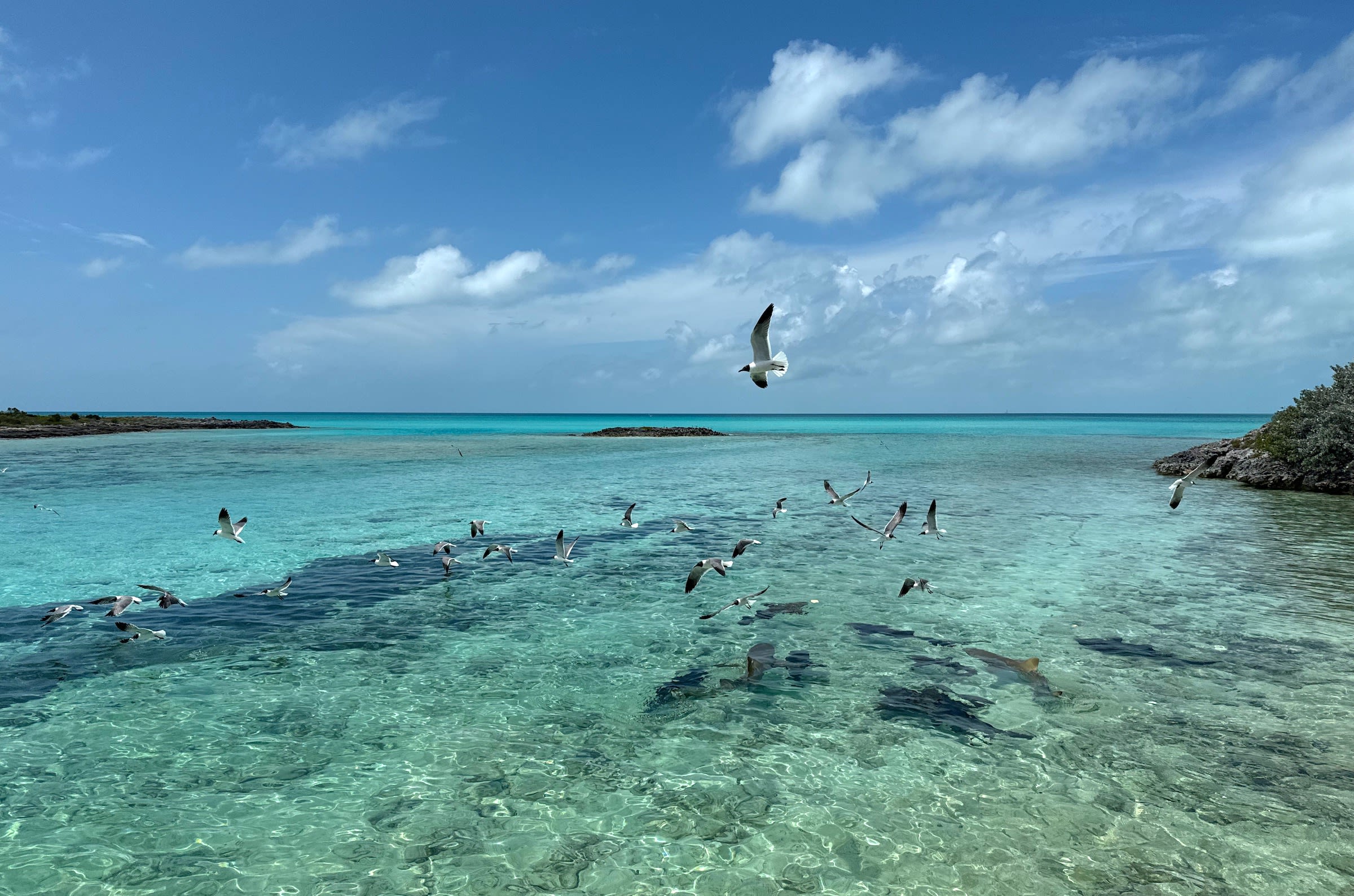 Bahamas - tudo que você precisa para sua viagem!