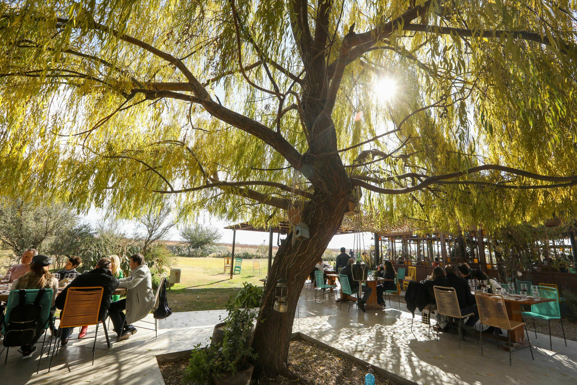 Bodega La Azul – Conheça uma das vinícolas mais procuradas de Mendoza ...
