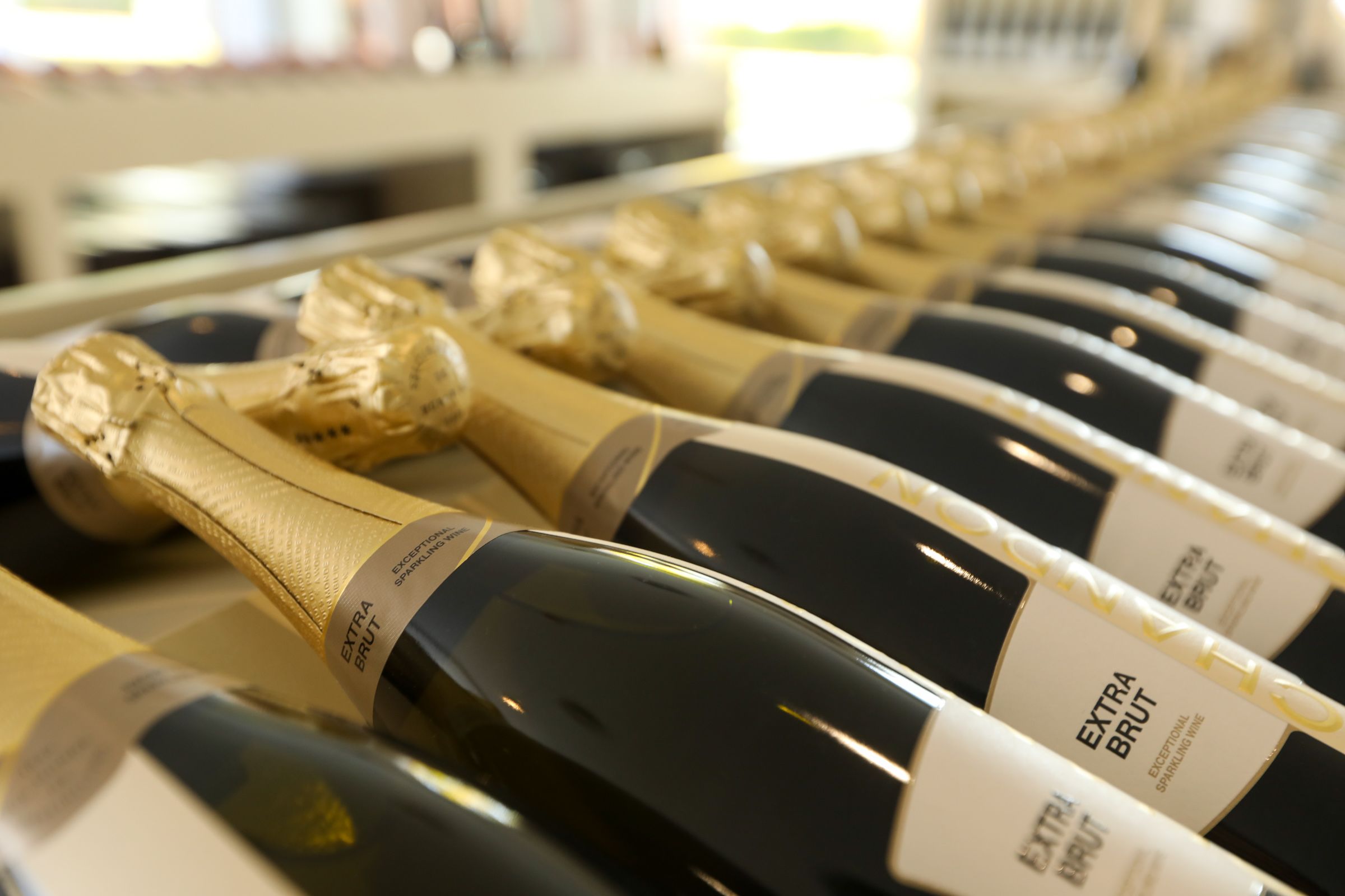 Chandon Argentina – Conheça uma das vinícolas mais visitadas de Mendoza