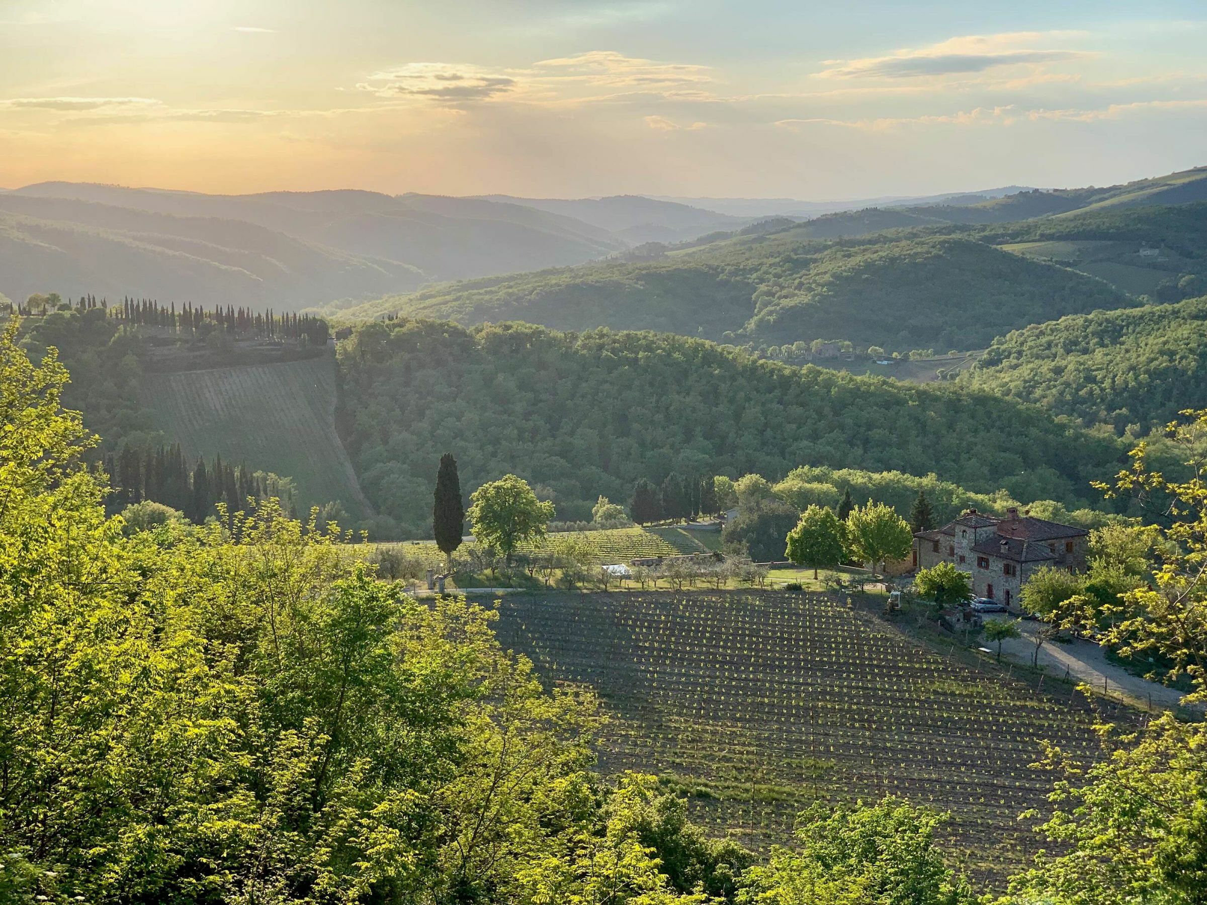 Vinícolas na Toscana - todas as dicas para sua viagem!