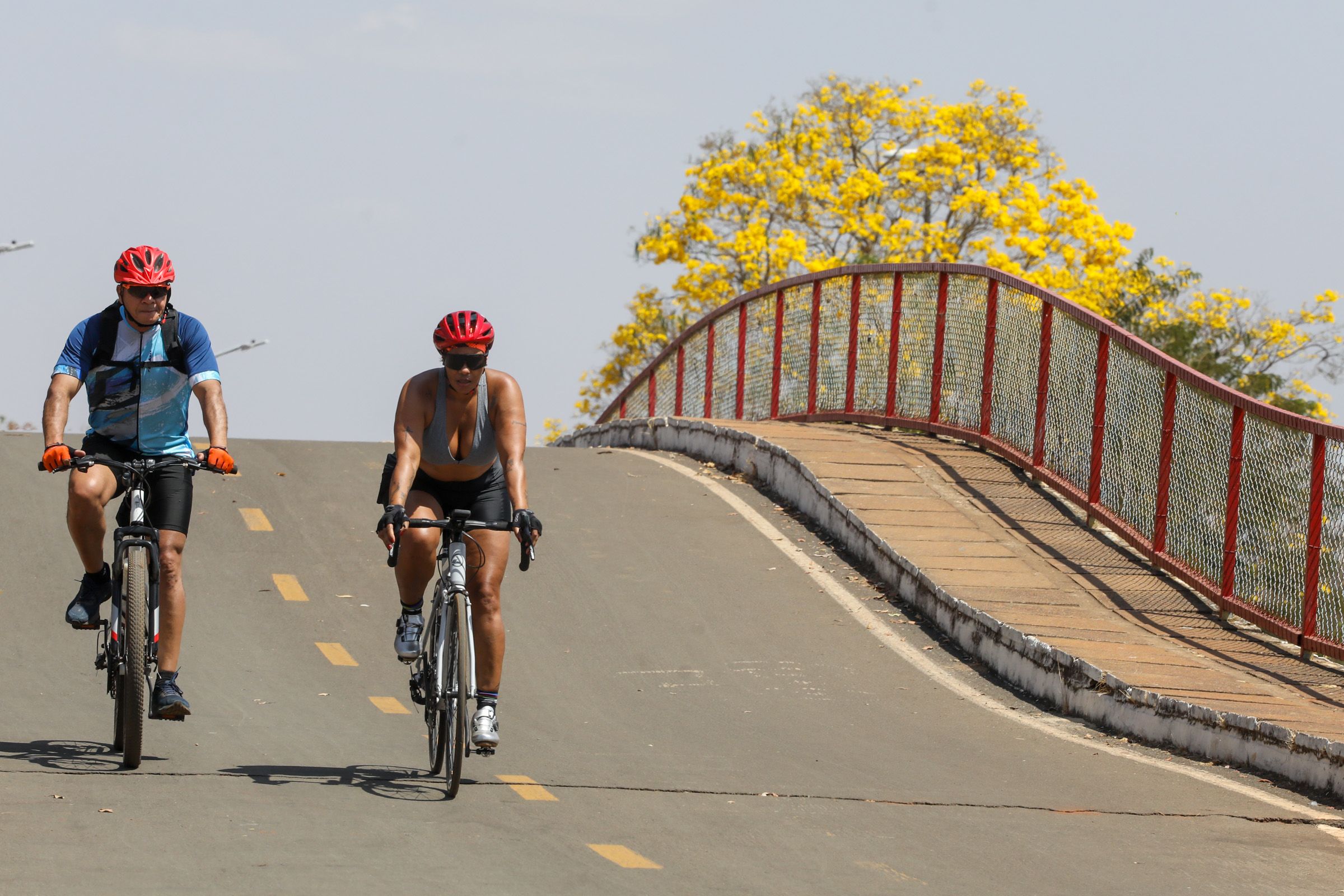 Parque da Cidade em Brasília – Tudo o que você precisa saber
