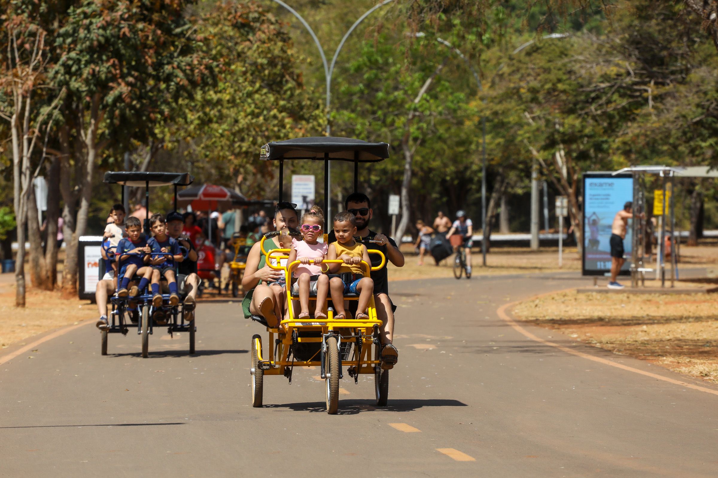 Parque da Cidade em Brasília – Tudo o que você precisa saber