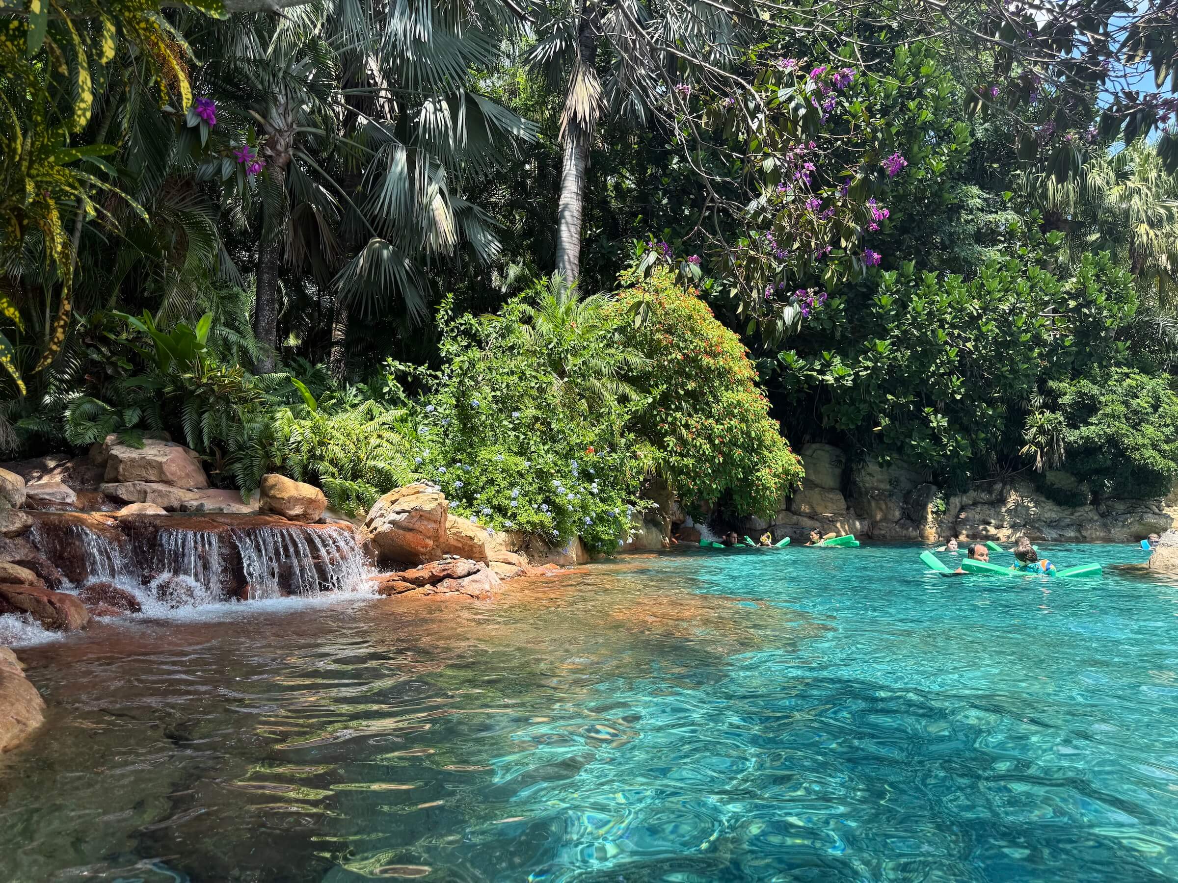 Discovery Cove - todas as dicas do parque aquático em Orlando