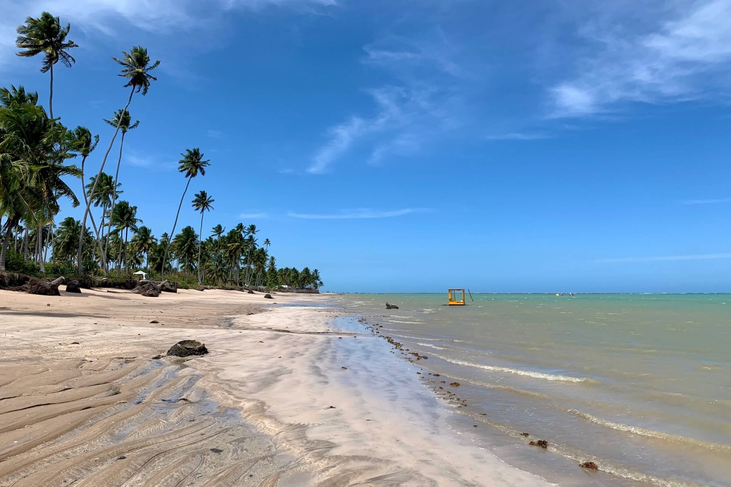 Praia do Patacho - nossas dicas de Alagoas!