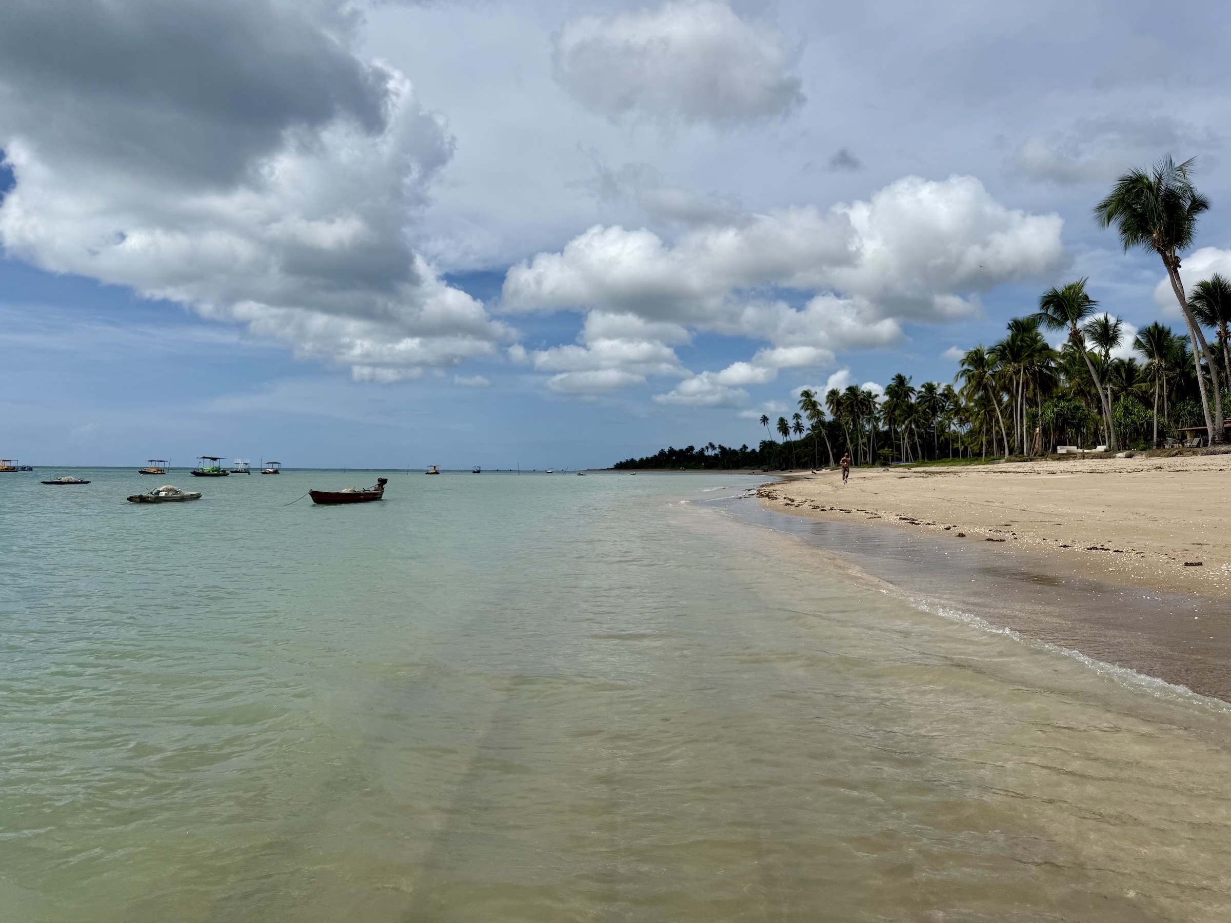 Praia do Patacho: tudo sobre uma das praias mais lindas de Alagoas