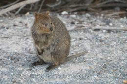Perth! Guia completo com todas as dicas para a sua viagem!
