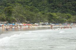 Praia do Tenório - Ubatuba