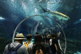 Aqua Rio - Rio de Janeiro