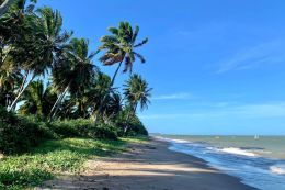 Praia do Patacho: tudo sobre uma das praias mais lindas de Alagoas
