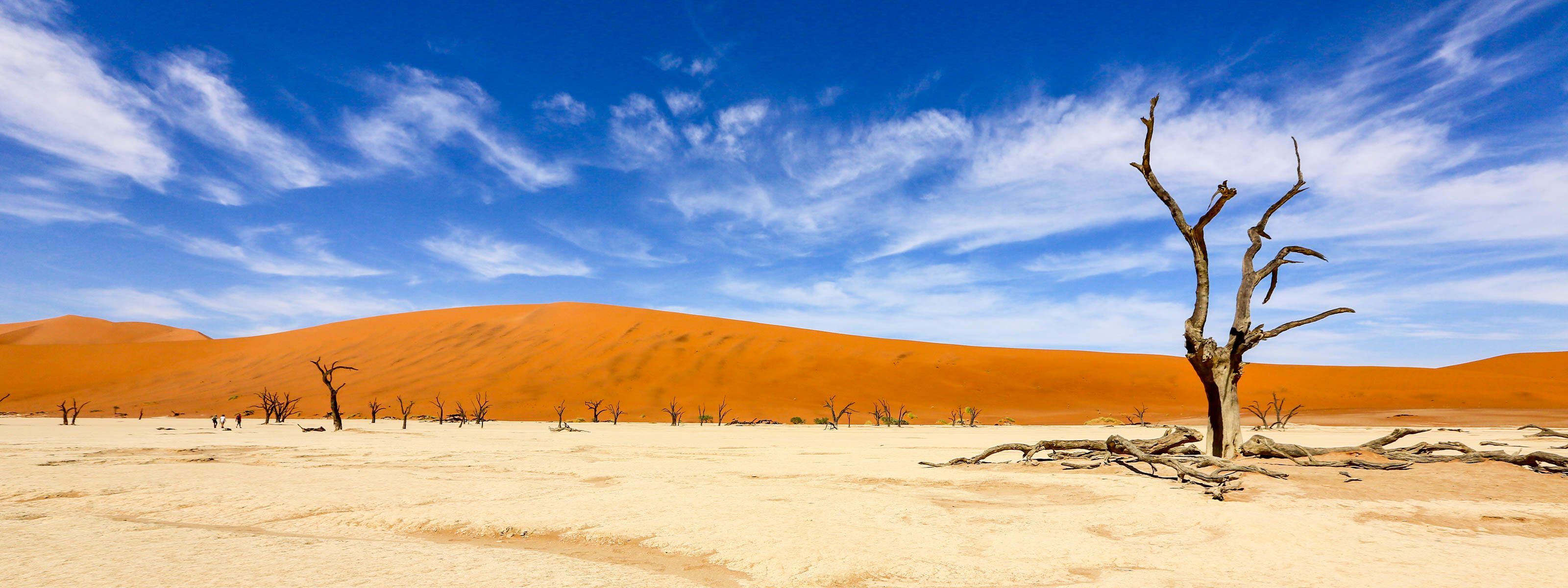 O que fazer e planejamento da viagem para a Namíbia - Melhores atrações ...