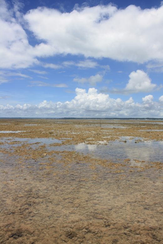 Parque Marinho de Recife de Fora - Arraial d'Ajuda