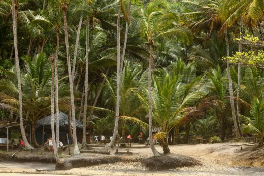 Praia da Engenhoca