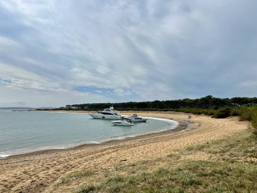 O que fazer em Punta del Este - Melhores atrações e passeios!