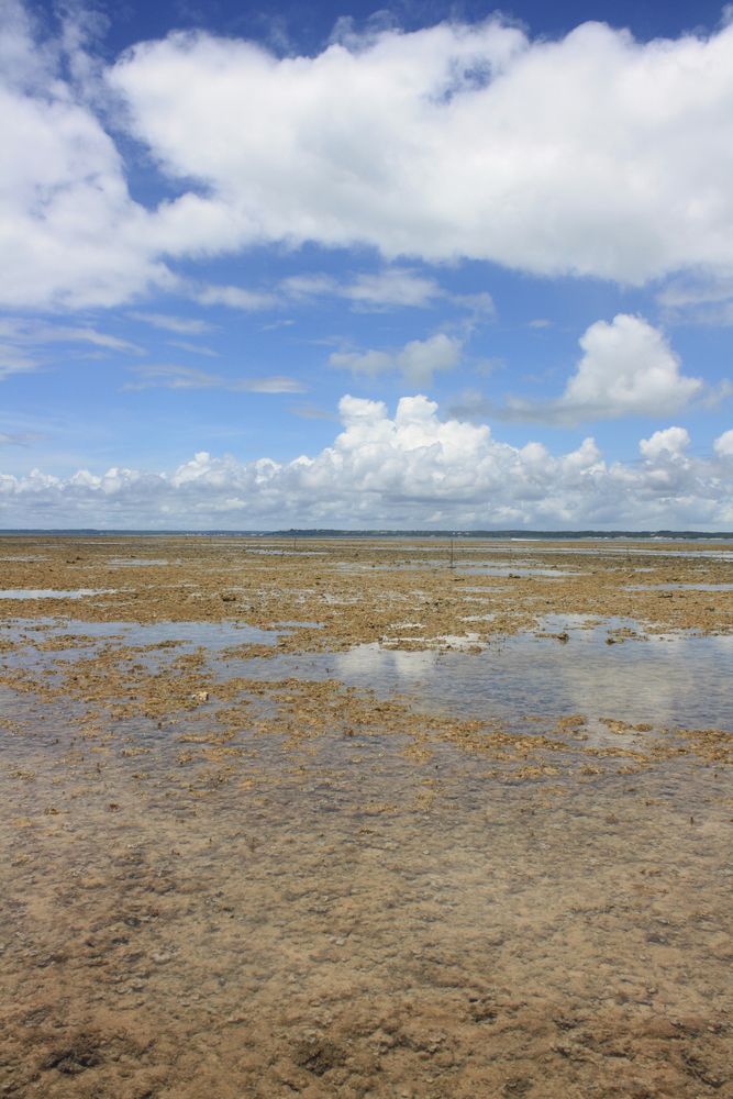 Parque Marinho de Recife de Fora - Arraial d'Ajuda