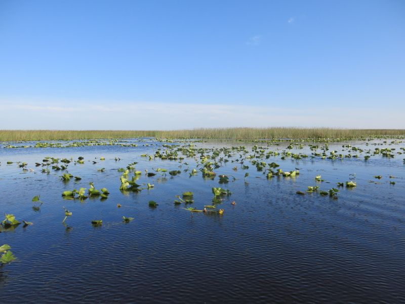 Parque Nacional Everglades (Everglades National Park)