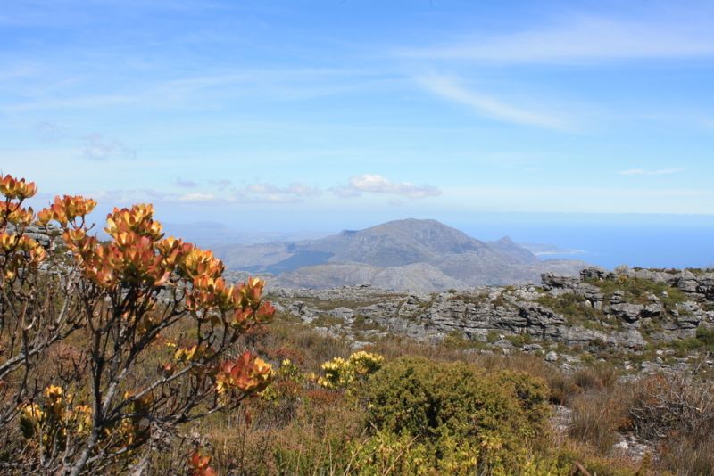 Table Mountain