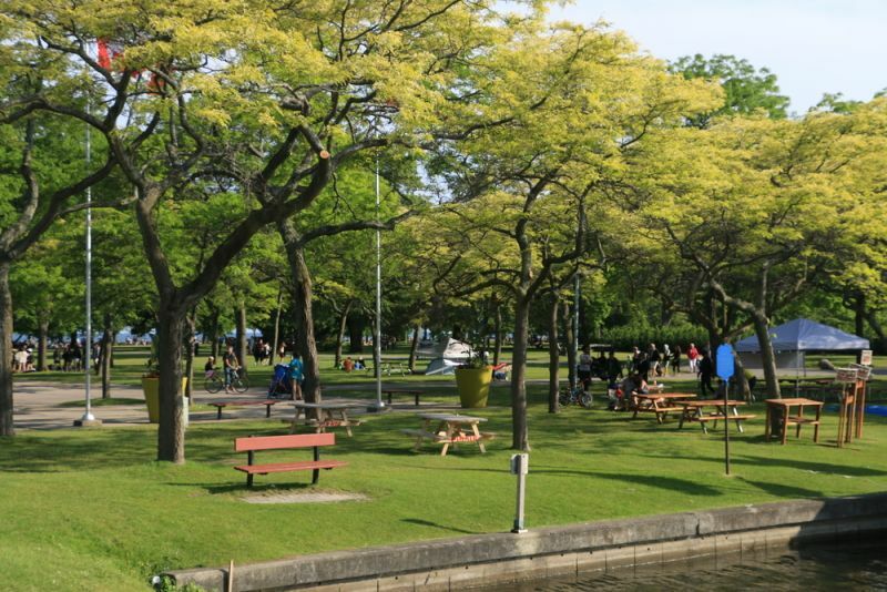 Toronto! Guia completo com todas as dicas para a sua viagem!