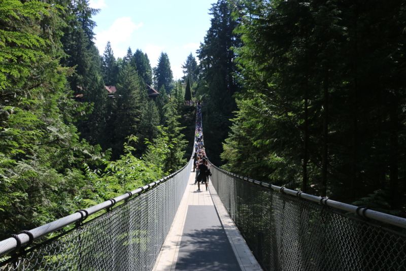 Capilano Suspension Bridge