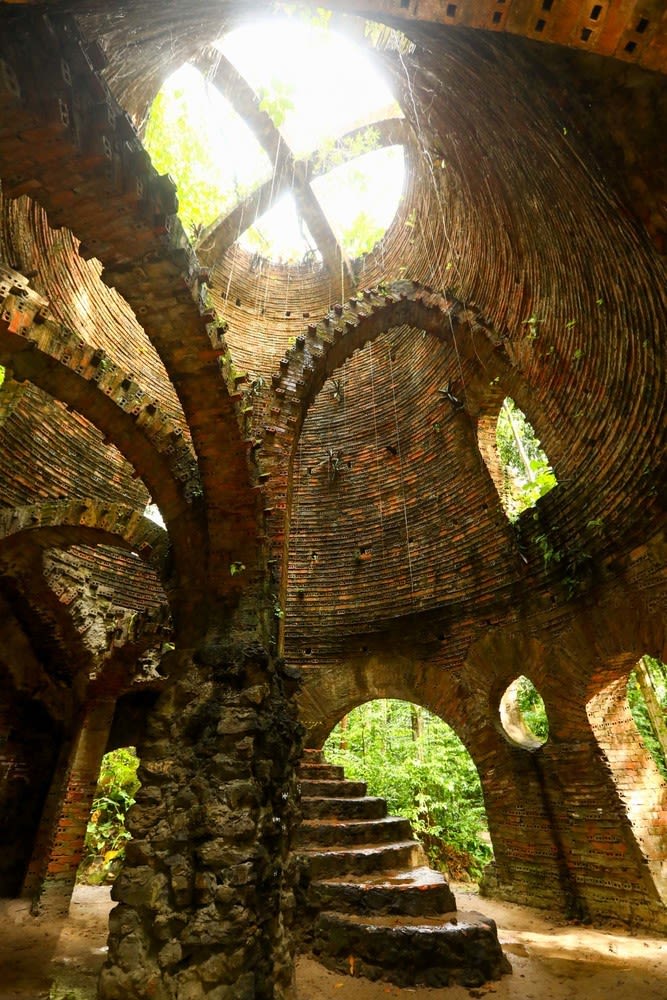 Bosque Rodrigues Alves - Jardim Zoobotânico