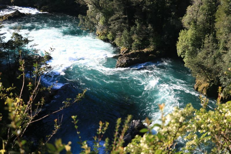 Huilo Huilo - dicas sobre a reserva no Sul do Chile