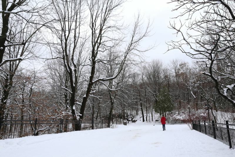 Parc du Mont-Royal