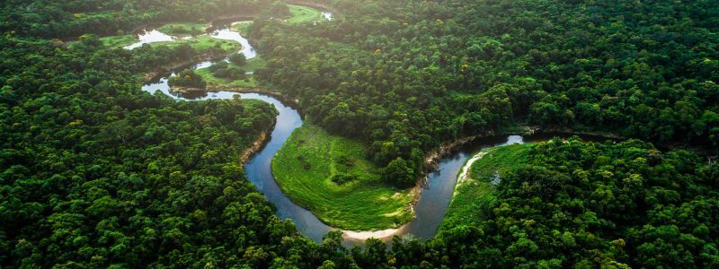 Norte do Brasil - dicas essenciais para visitar a região!