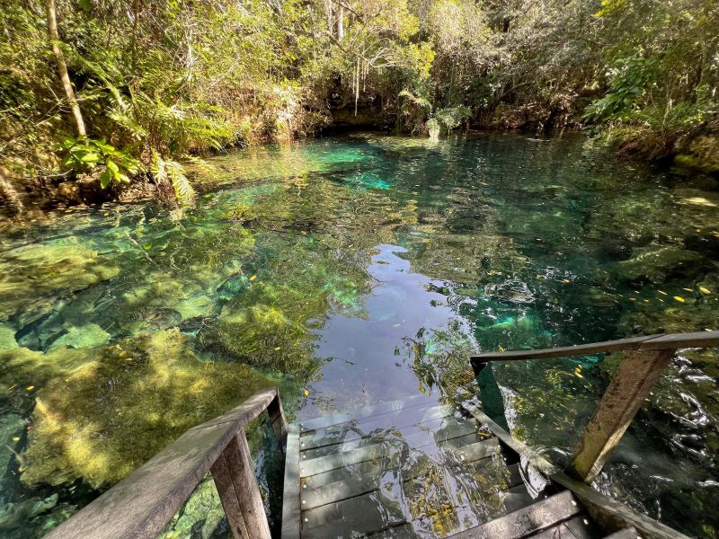Cenotes Ojos Indígenas - Punta Cana