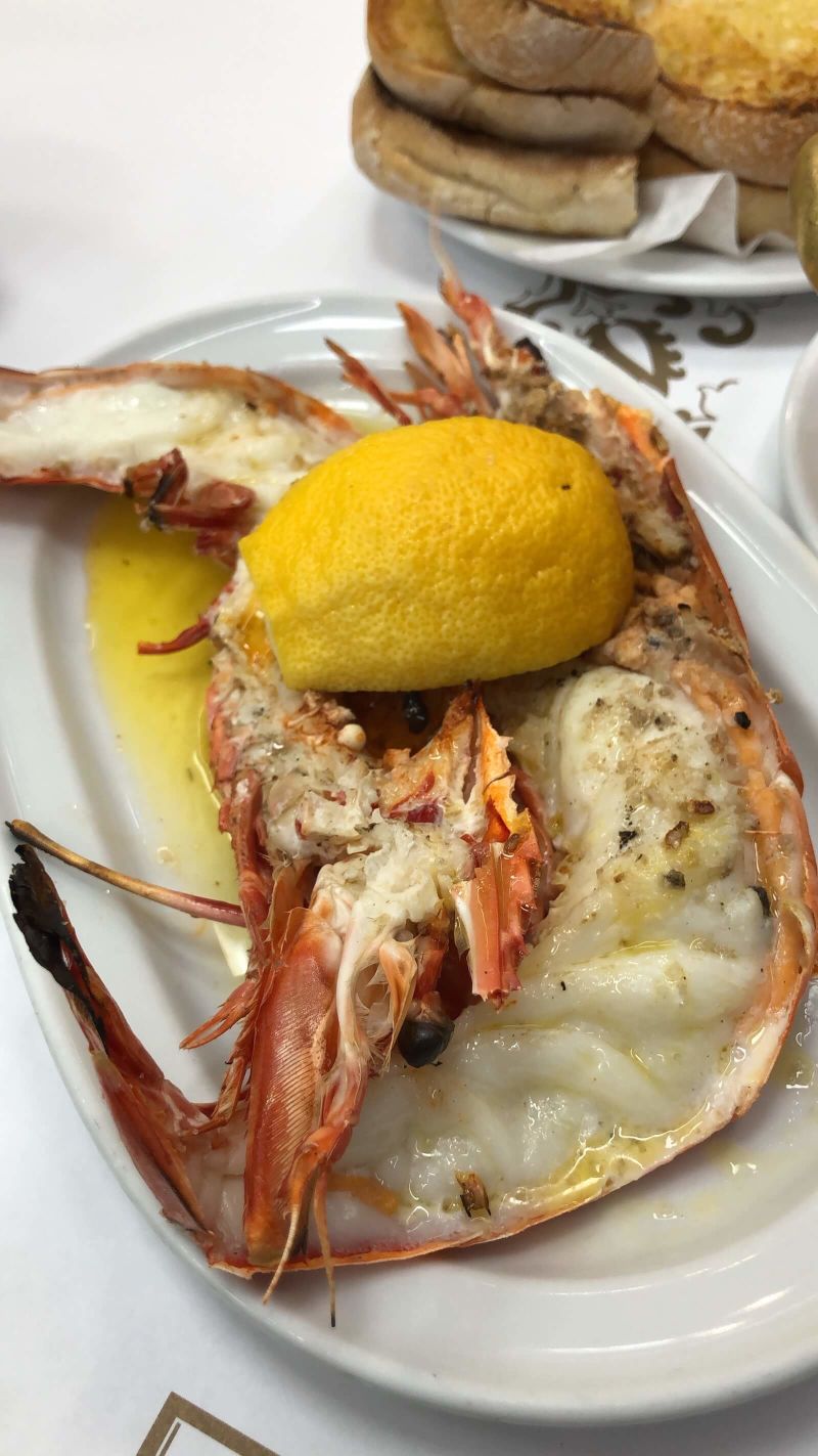 Onde comer em Lisboa - nossas dicas de restaurantes!