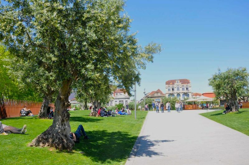 Jardim das Oliveiras - Porto