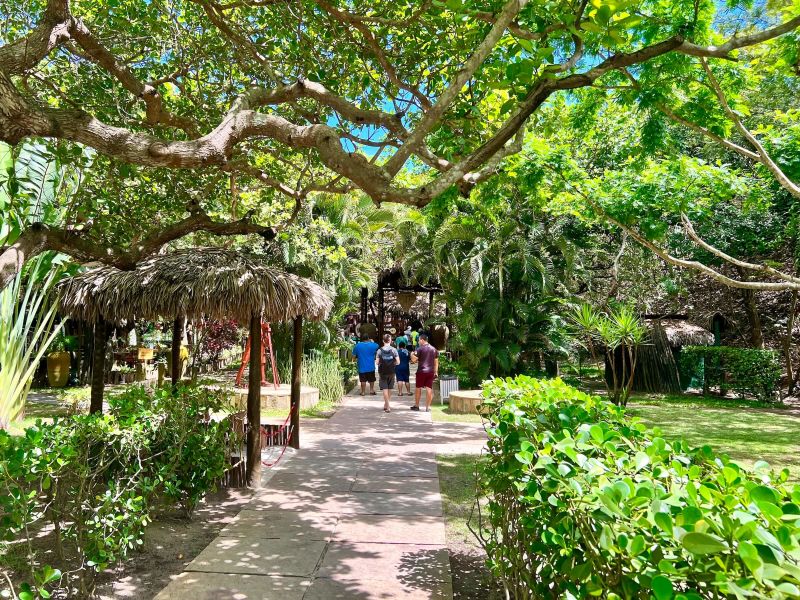 Alchymist Beach Club - dicas de Jericoacoara