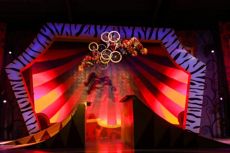 Madagascar Circus Show - Beto Carrero World