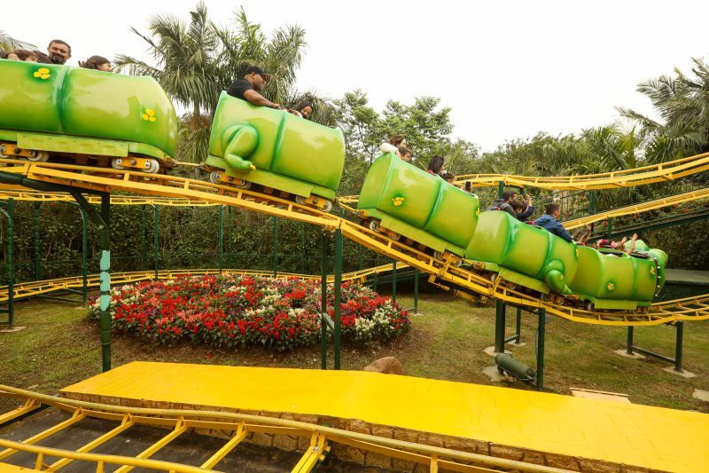 Dum Dum - Beto Carrero World