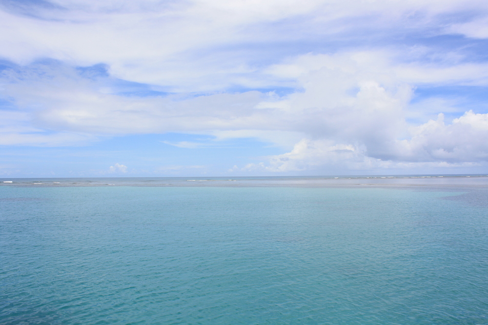 Parque Marinho de Recife de Fora - Arraial d'Ajuda
